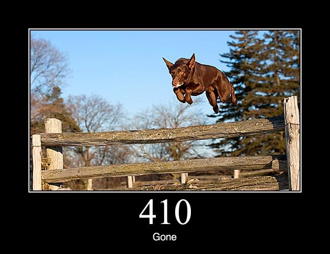 410 Gone HTTP Status Dogs